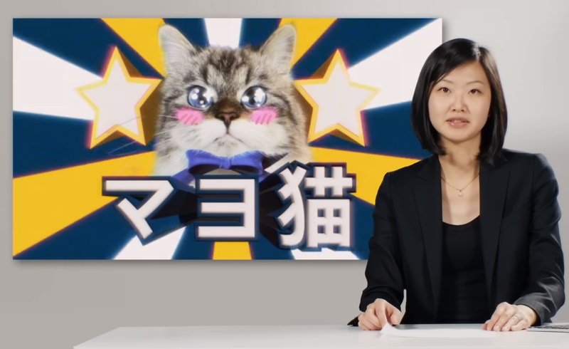 ネコちゃん、喋ってブームを巻き起こす。Hellmann’sのCM「Mayo Cat」 | mifdesign_antenna